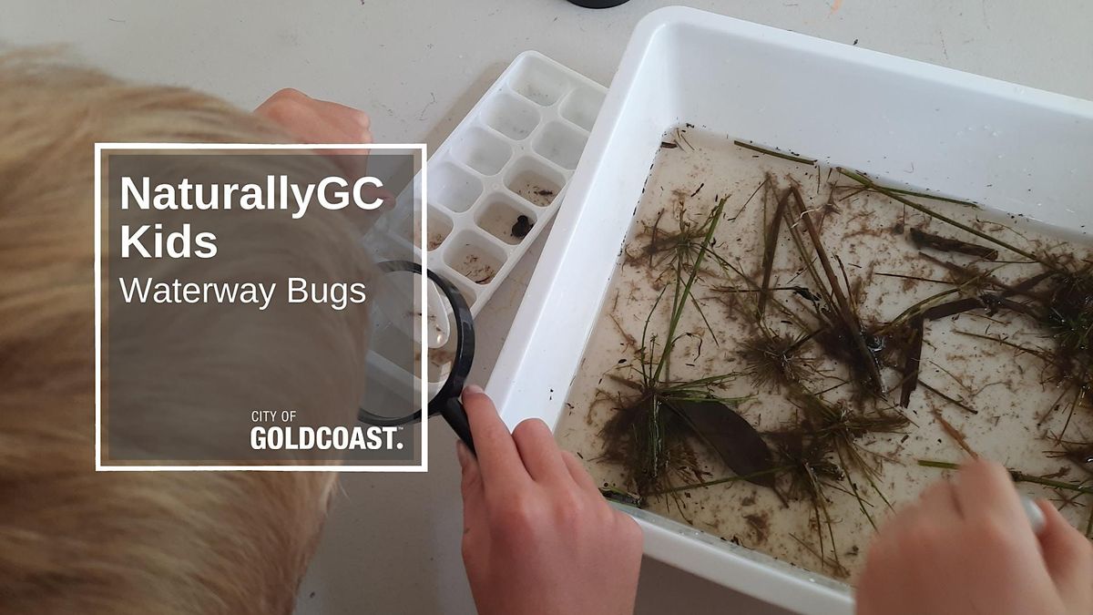 NaturallyGC Kids - Waterway Bugs, Pimpama (Map is an indication of ...