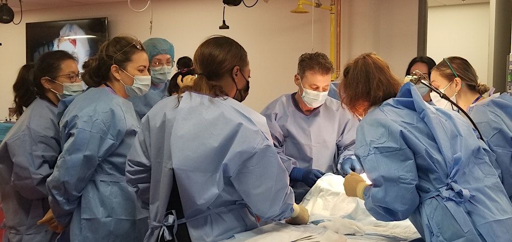 Cannula King® Facial Cadaver Lab - BOSTON, MA, Boston BioskillsLab ...