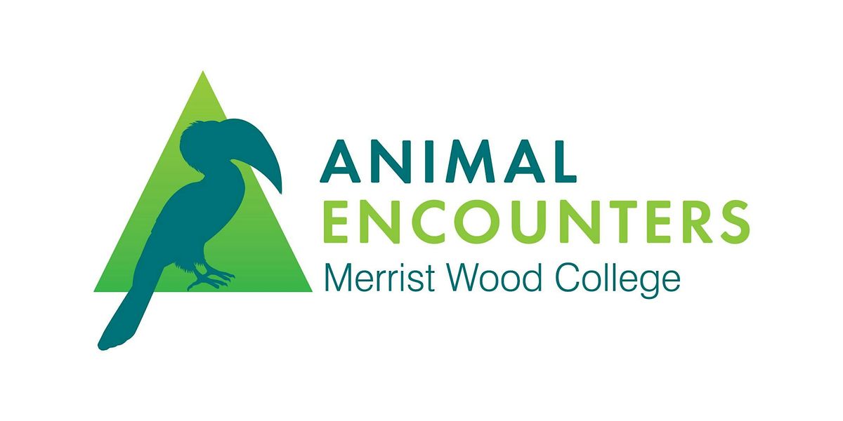 Merrist Wood Animal Encounter Tour, Merrist Wood College, Worplesdon ...