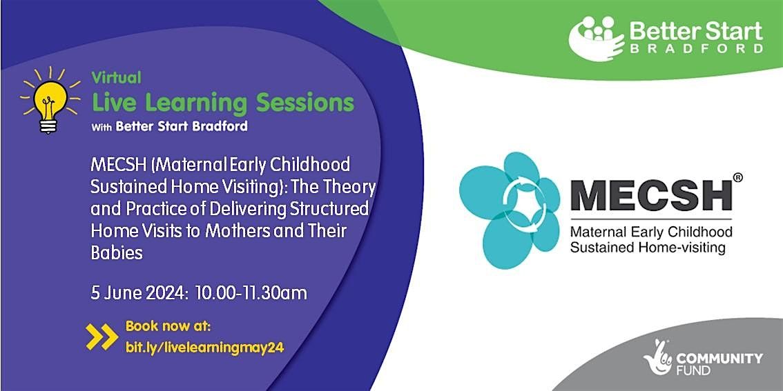 MECSH: Delivering Structured Home Visits to Mothers and Their Babies ...