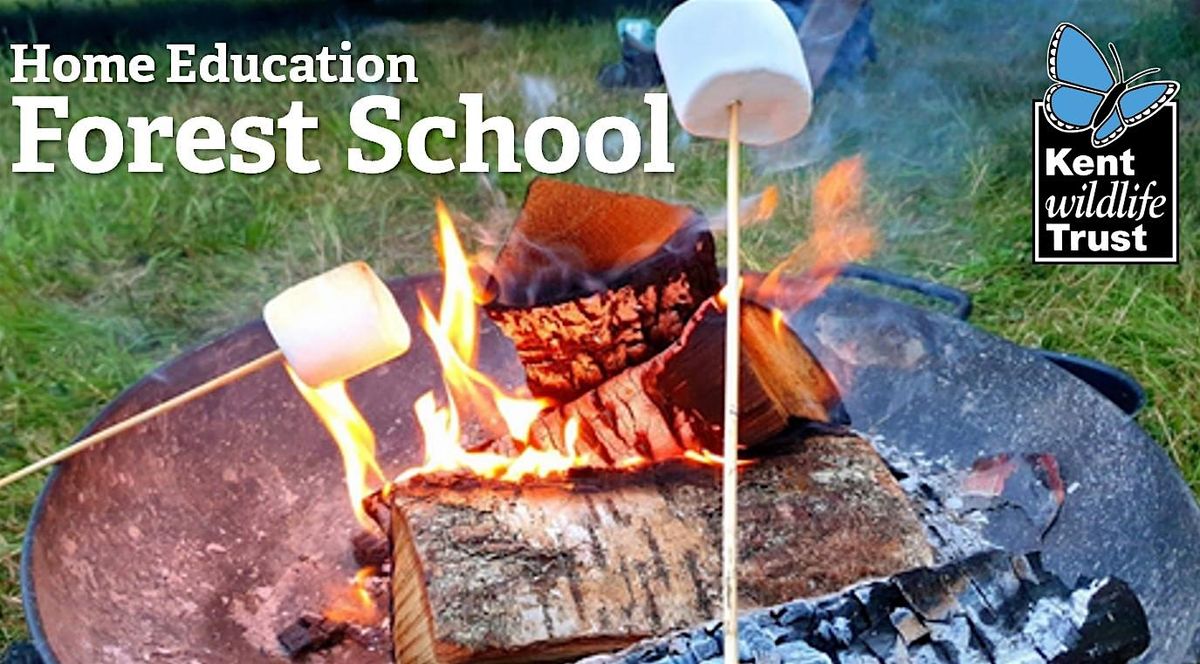 Home Ed Forest School - Jun/Jul 2024, Tyland Barn, Maidstone, 7 June to ...