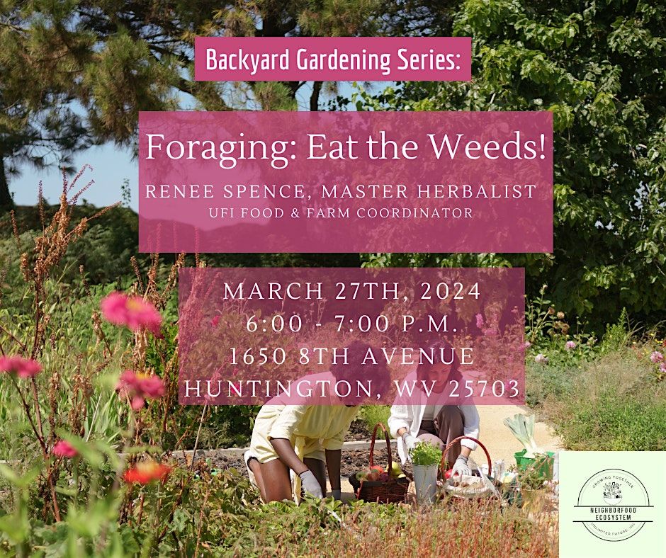 Foraging: Eat the Weeds, 1650 8th Ave, Huntington, 27 March 2024 ...