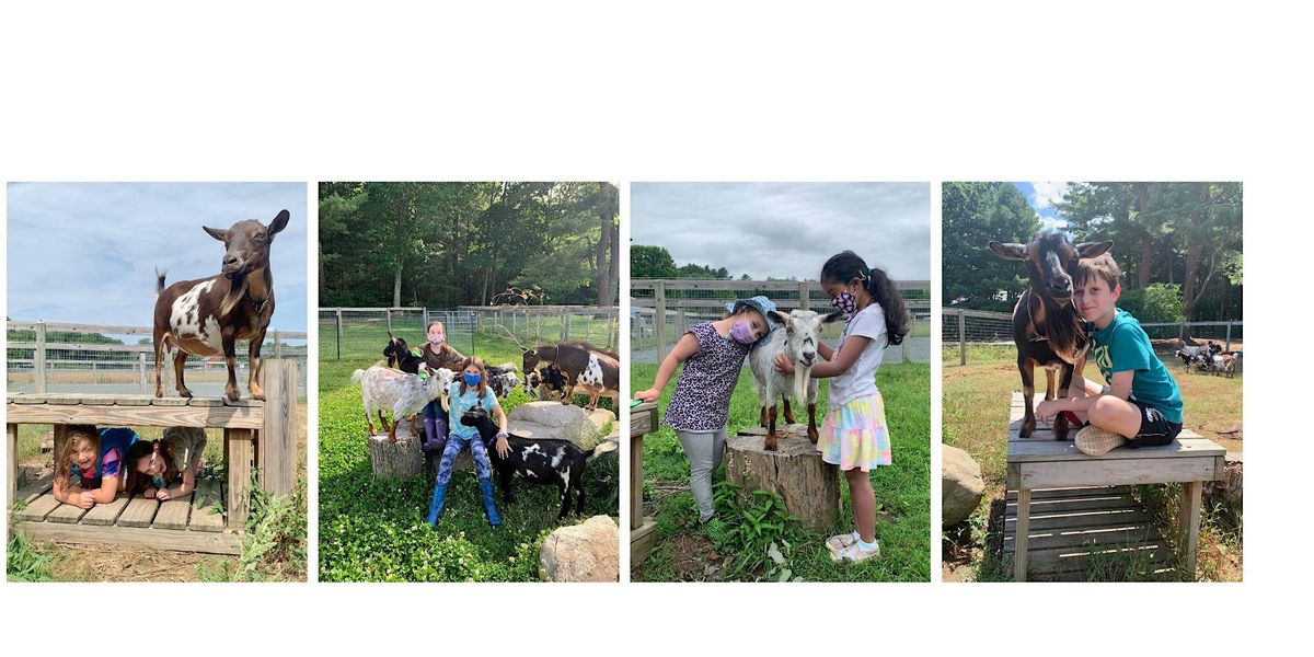 Positively Goats Half-day Summer Program, Positively Goats, Natick, 3 ...