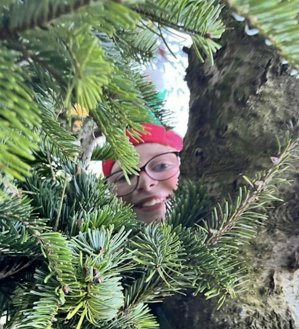 Elf Forest Experience, Joseph Noblett Christmas Trees, Charnock Richard ...