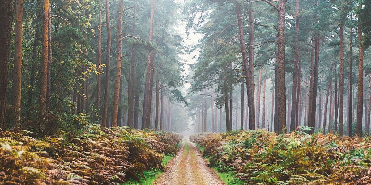 How a changing climate changes our minds, brains and bodies, The RSA ...