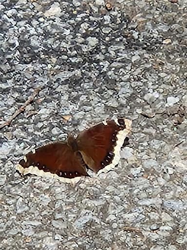 Story Time: First Day of Spring, Greenbelt Nature Center, Staten Island ...