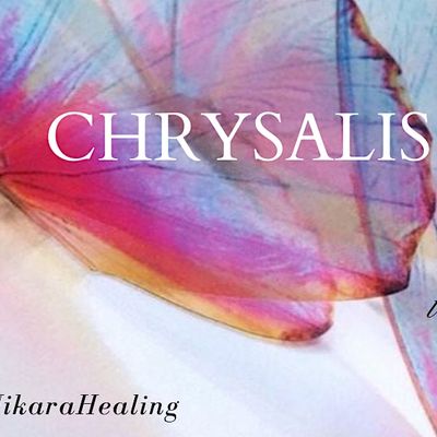 Chrysalis: A Portal for Transformation, December 30 2023 | Online Event ...