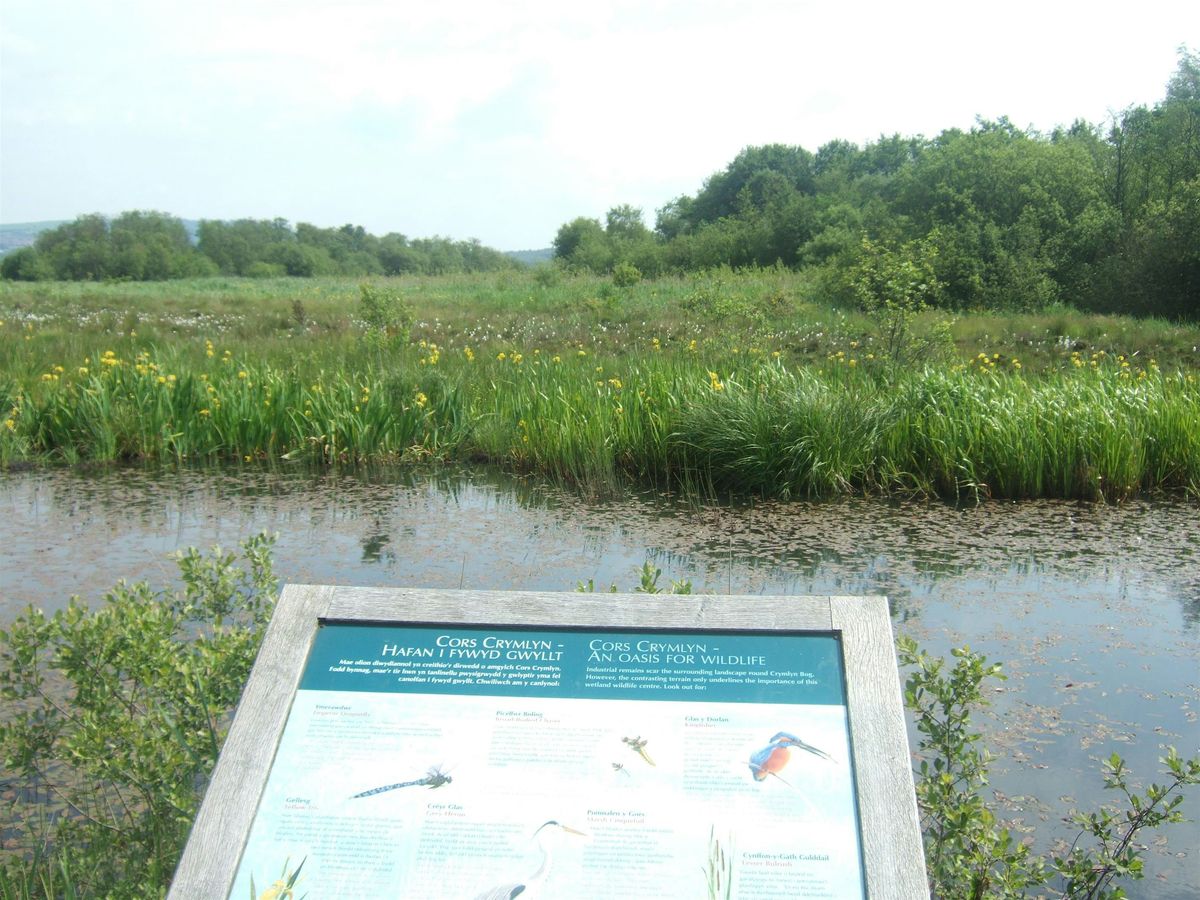 Gower Society Youth Celebrate world bog day. Crymlyn Bog plants and ...