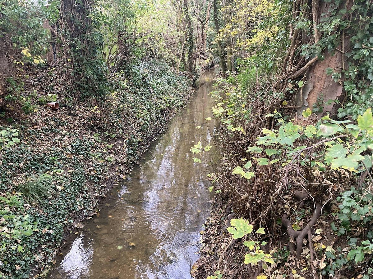 Newmarket Chalk Stream Walk & Talk with Kevin Hand, The Racing Centre ...