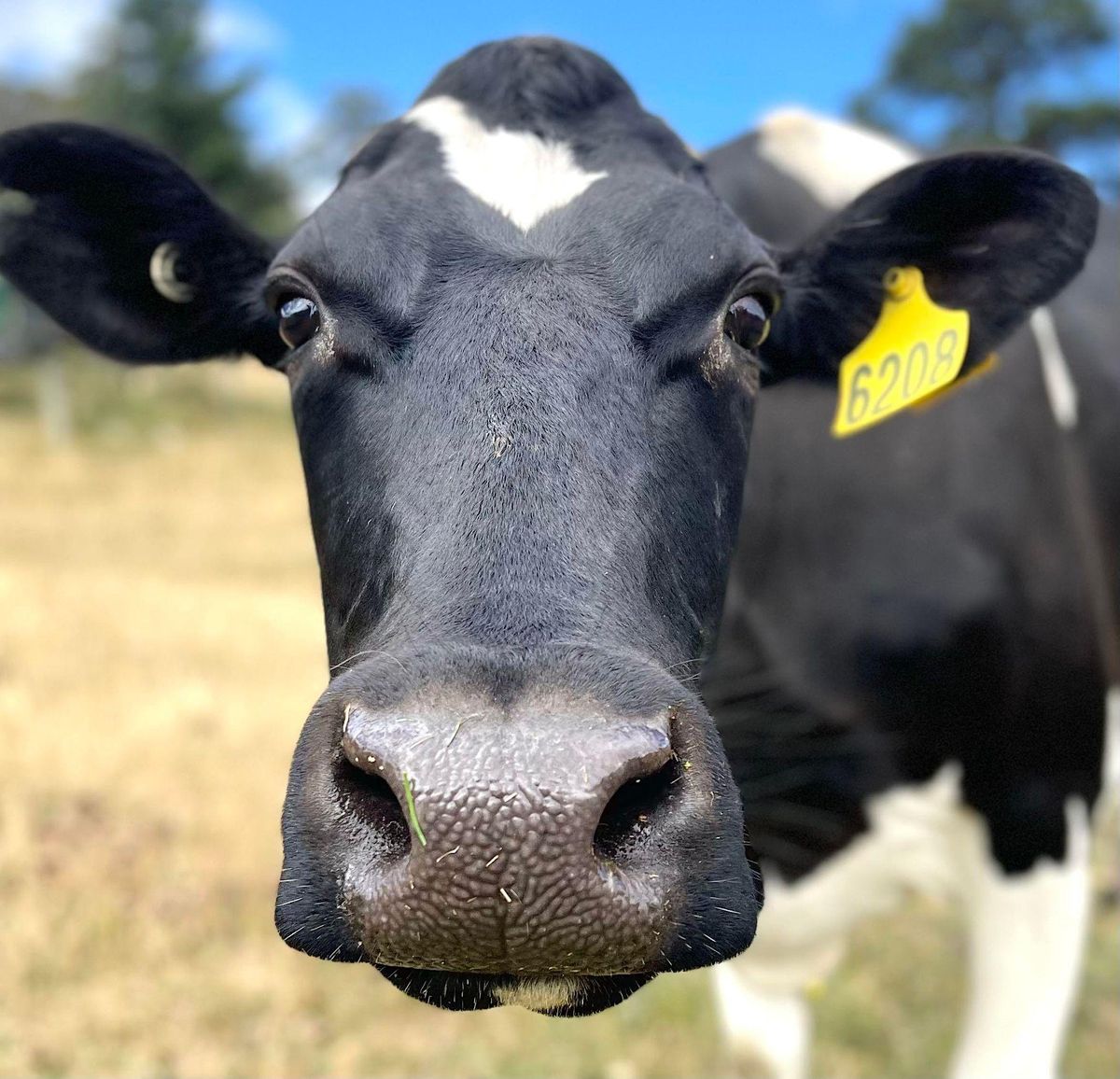 Brightside Quiz Night 2023, Uni Bar, Sandy Bay, 16 November 2023 ...