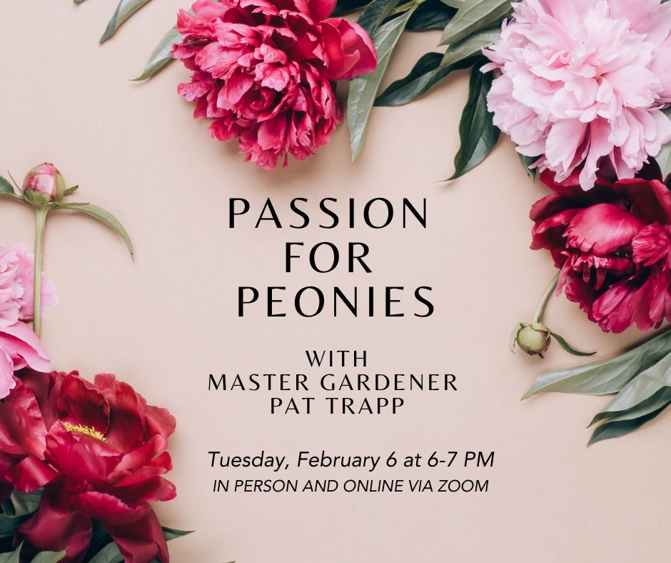 Passion for Peonies with Master Gardener Pat Trapp, Columbus Public ...