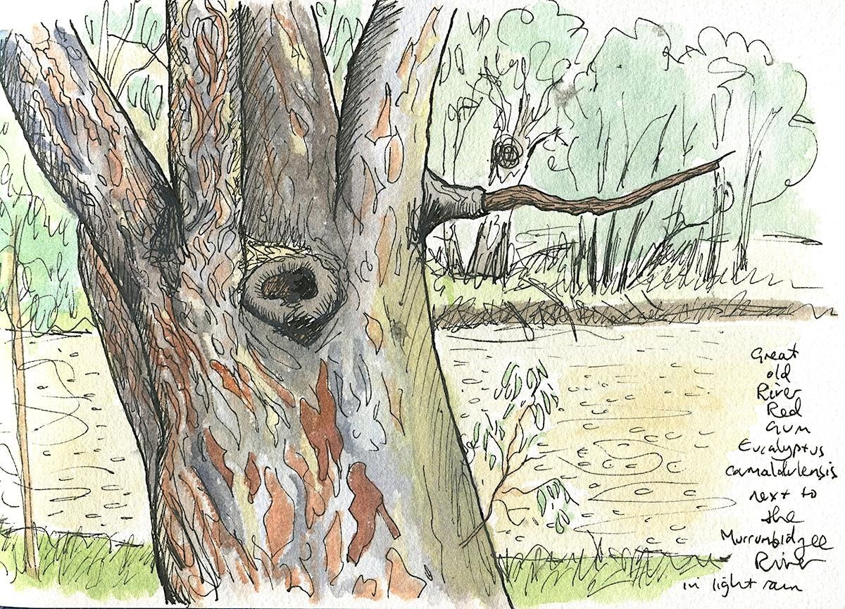 Nature Journal with Paula Peeters & HUL, Weir Park, Horsham, 28 October ...