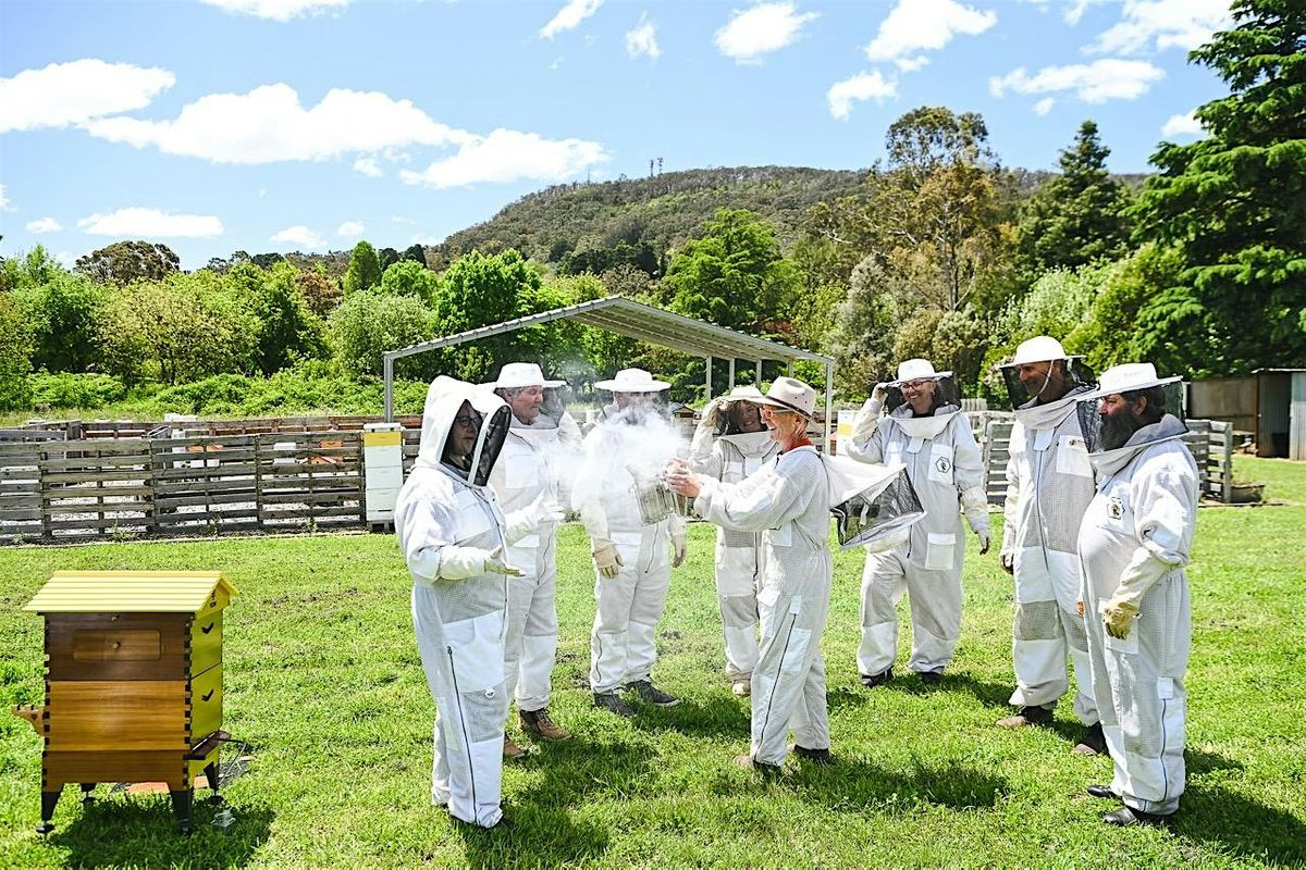 Beekeeping - Flow Hive Fun, Bowral Beekeeping, 7 September 2024 | AllEvents