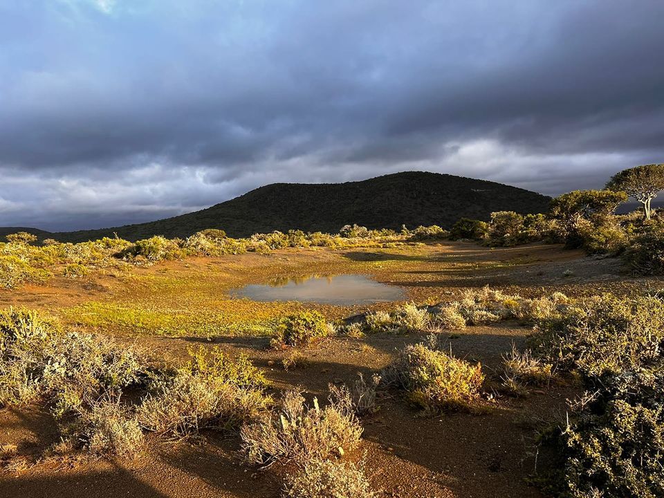 Trail Running @ Trumpetters Drift Game Farm, Trumpetter's Drift Farm ...