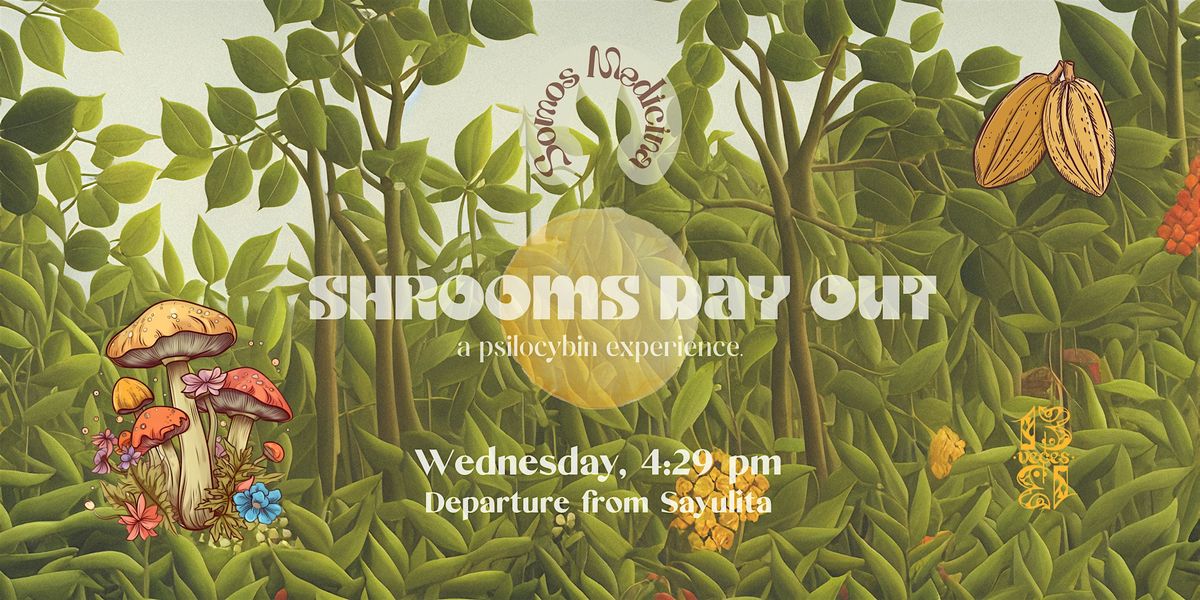 Shrooms Day Out - Psilocybe Experience, Sayulita, 27 March to 10 April ...