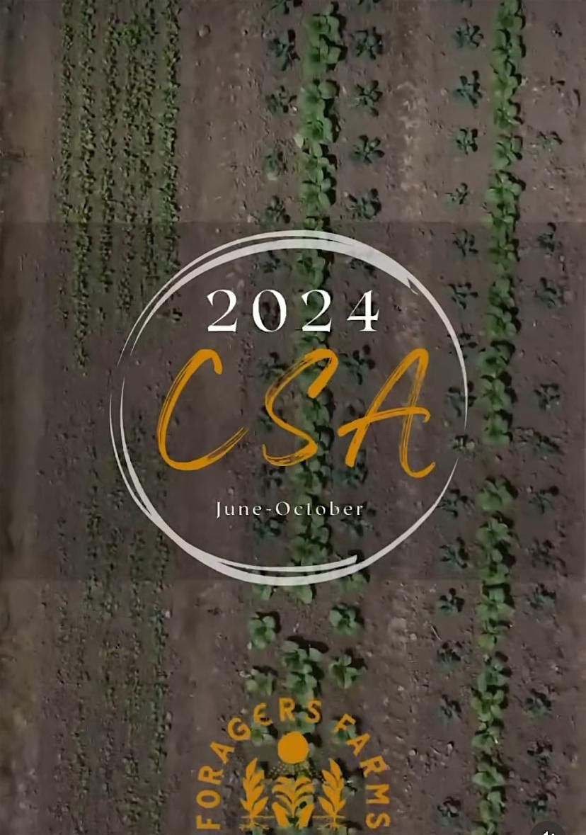 CSA (Community Supported Agriculture) Veggie Subscription, Foragers Farms, Cobourg, 24 May 2024 ...