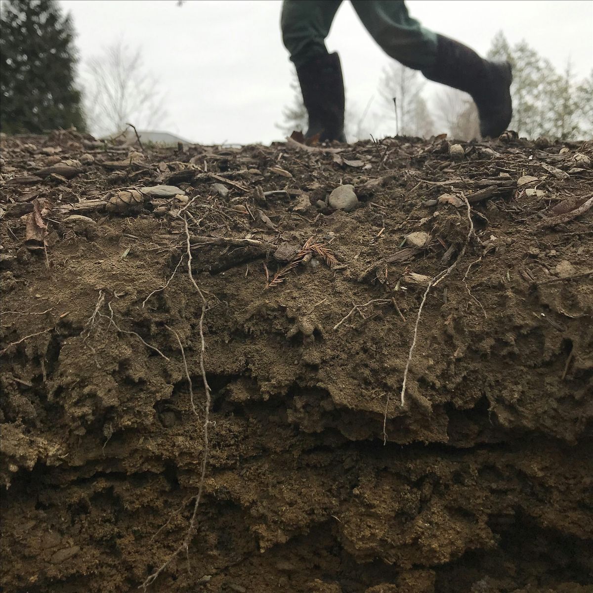 Super Soil Cycles with Emilie Houssart and Briana Gary, Neighborhood ...