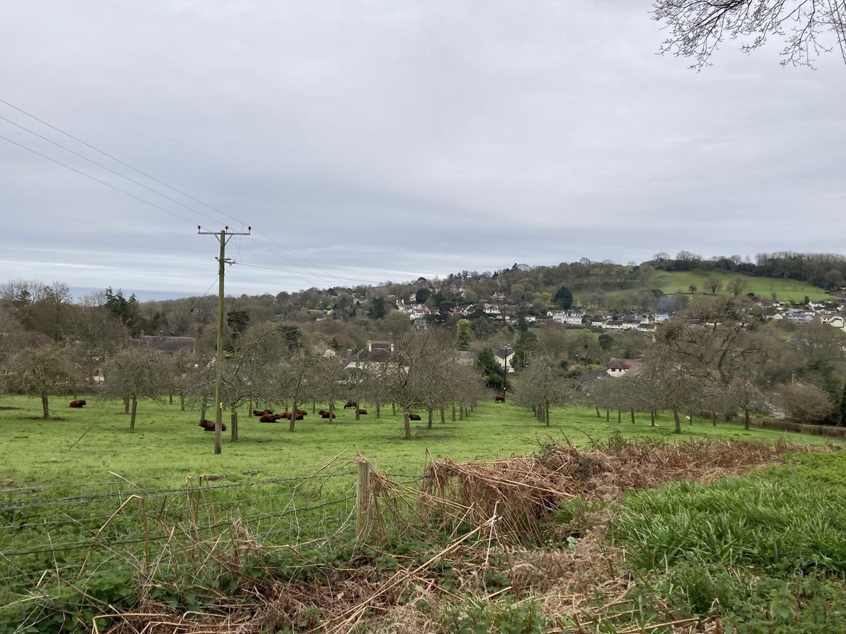 Farm Walk - land management influences on the River Lim, Lane End Farm ...