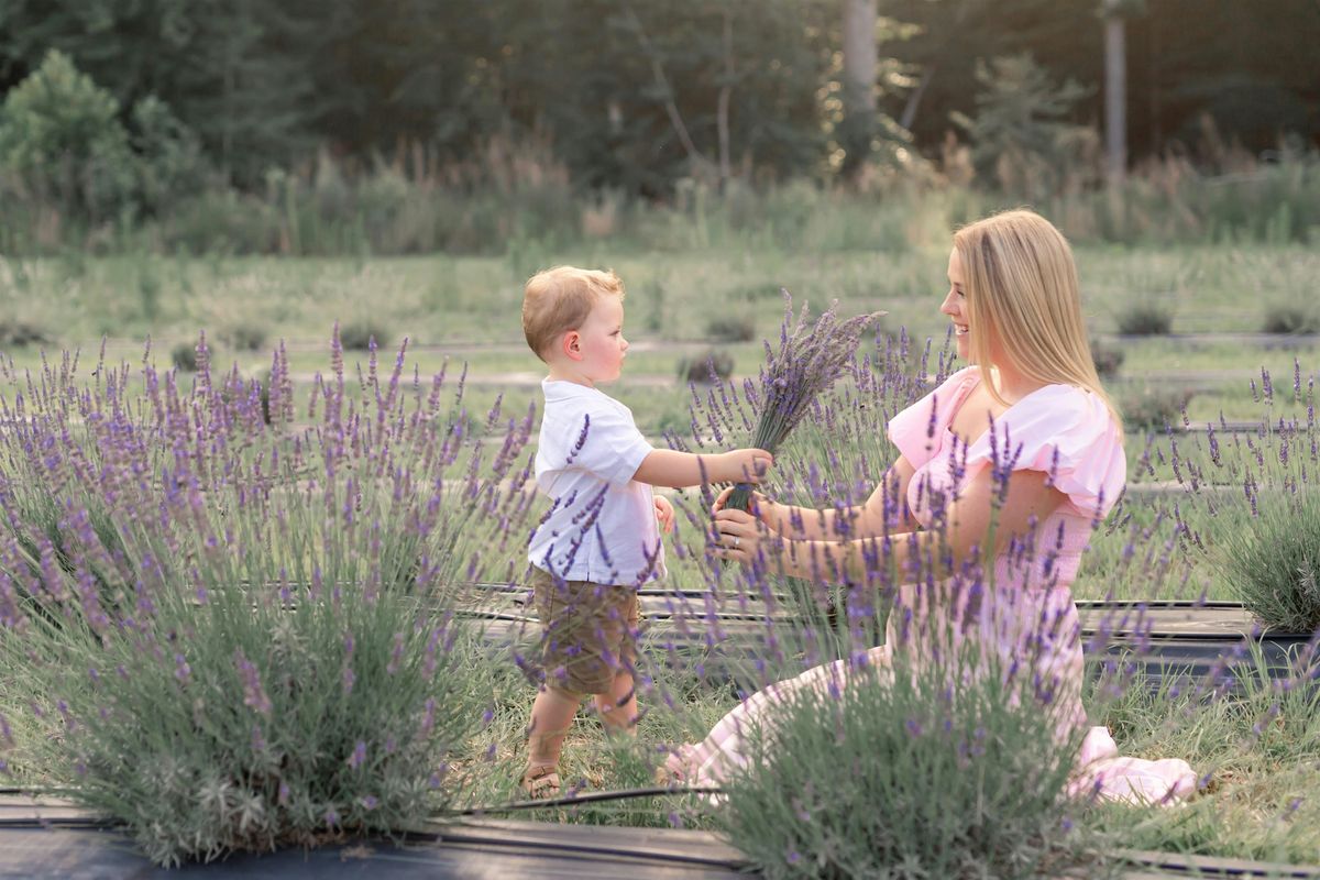 Lavender You Pick & Lemonade, Under the Stars Lavender Farm, Gloucester, 1 June 2024 | AllEvents