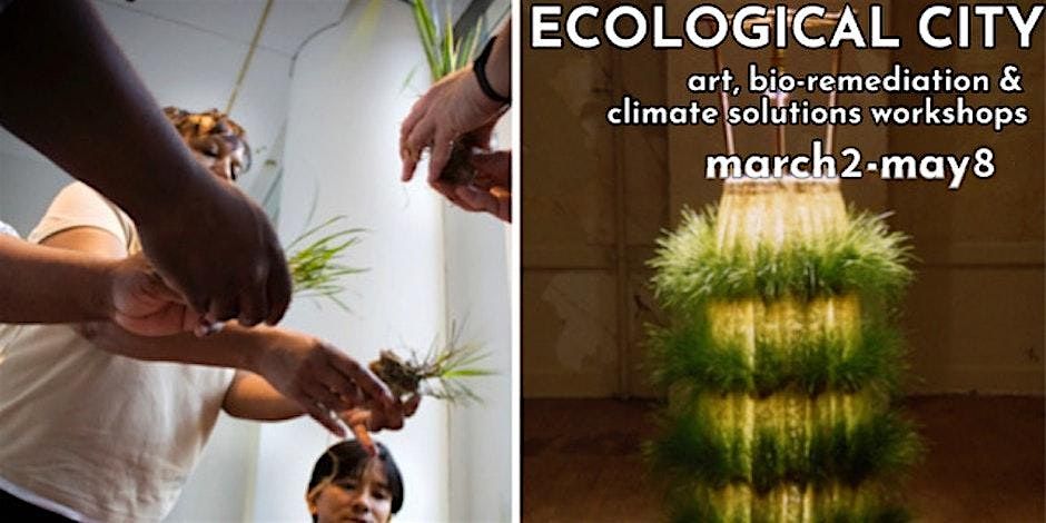 ECOLOGICAL CITY - Art & Climate Solutions Workshops, Sixth Street ...