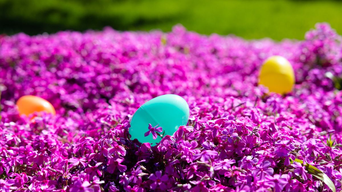 Meandering Way Ward Easter Egg Hunt and Gathering, Mimosa Park ...