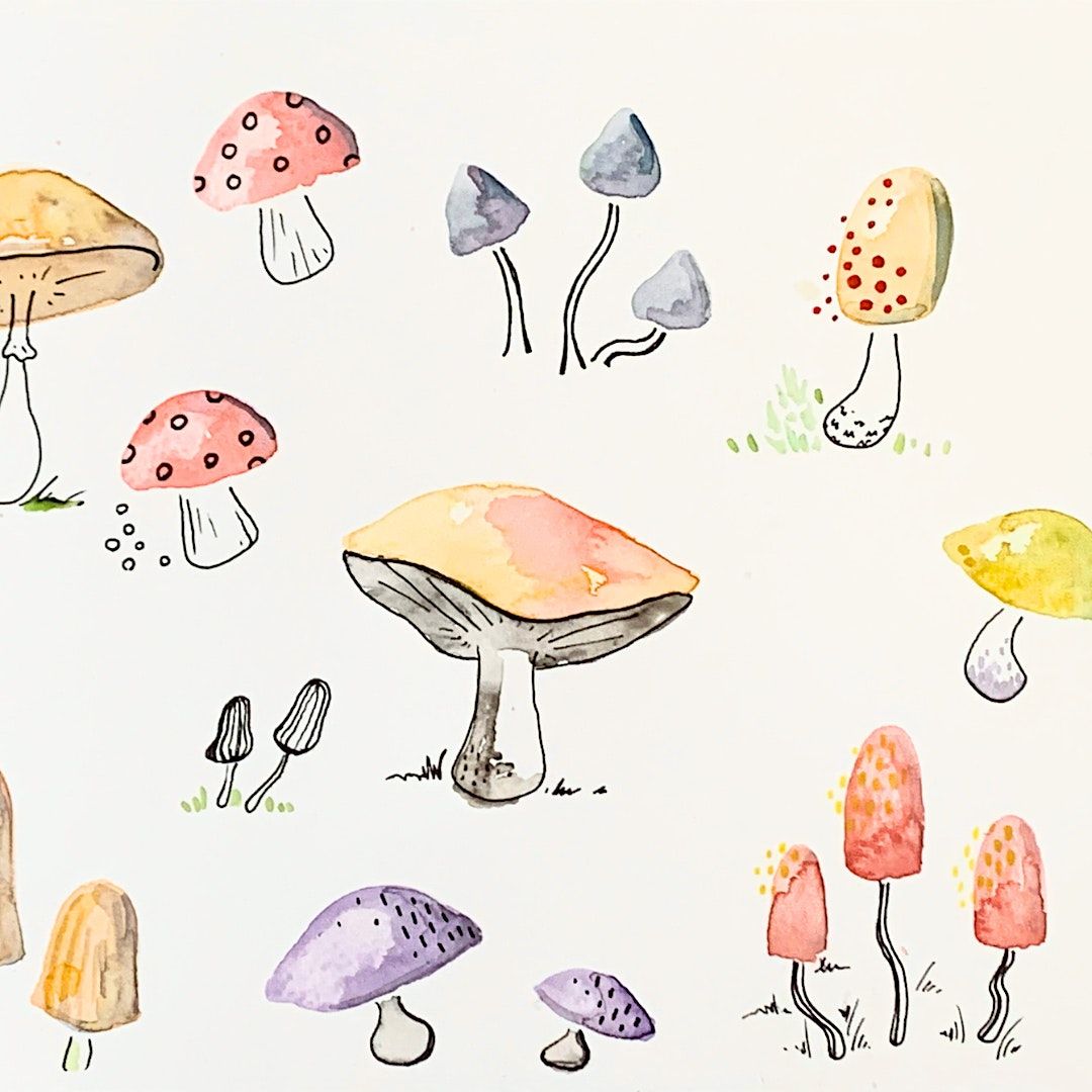 Watercolor Workshop - Happy Little Shrooms, Bard and Baker Board Game ...