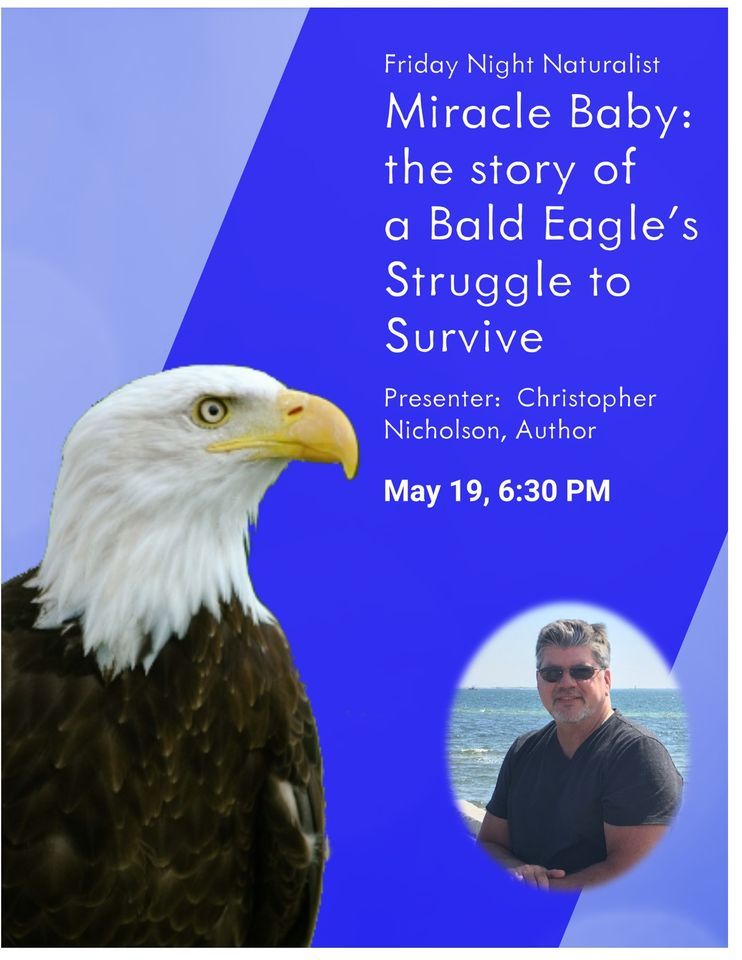 Friday Night Naturalist: Miracle Baby, Trout Lake Nature Center, Eustis ...