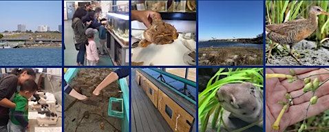 Community Day, Back Bay Science Center, Newport Beach, 9 April 2023 ...