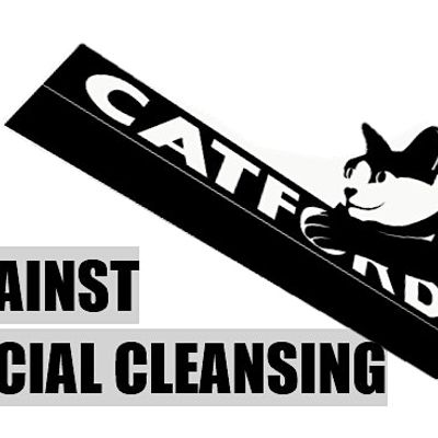 Catford Regeneration and Catford Island - Plassy Island Development ...