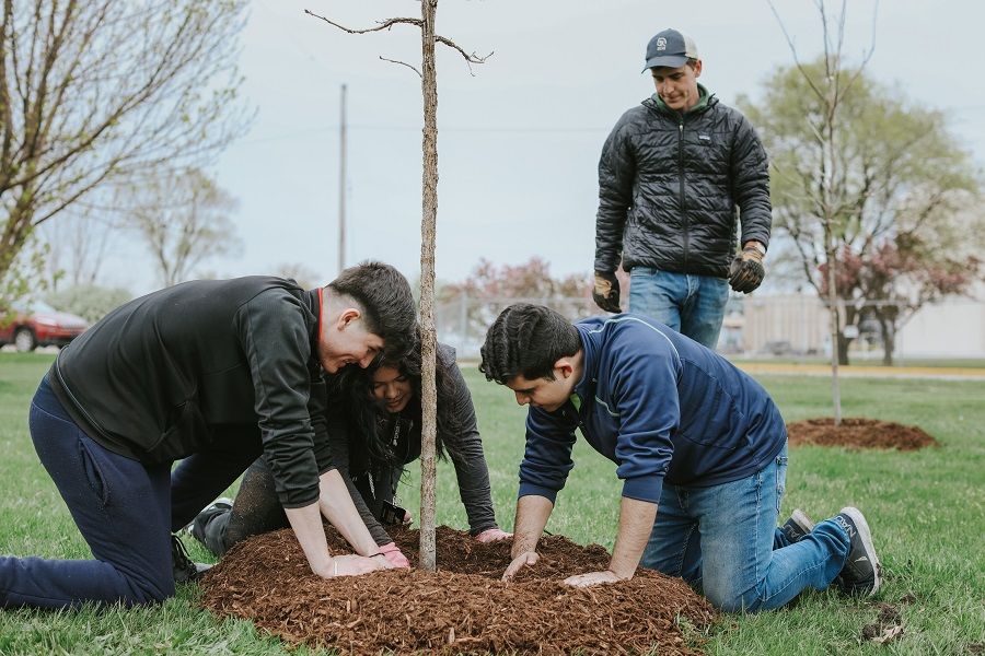 Volunteer Tree Planting with the SCA, 3509 Spruce Ave, East Chicago, IN ...