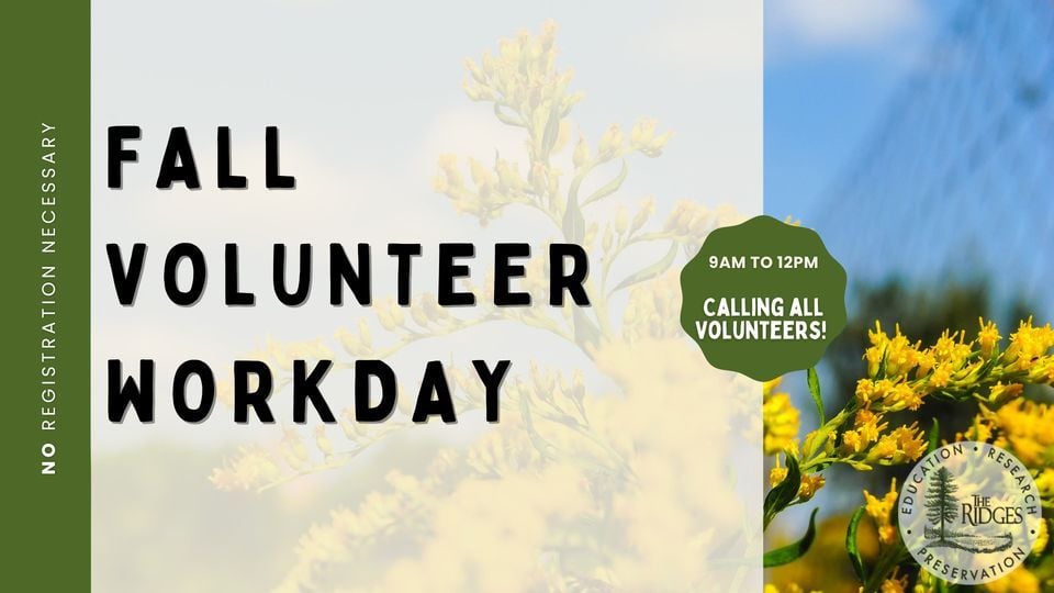 Fall Volunteer Workday, Cook-Albert Fuller Center, Egg Harbor ...
