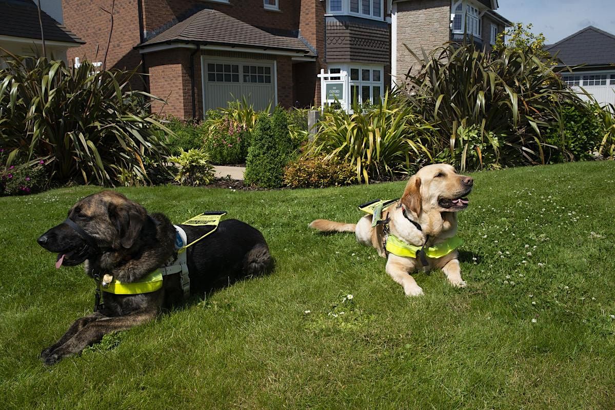 Saxon Brook hosts Meet the Guide Dog Day, Redrow - Saxon Brook, Pinhoe ...