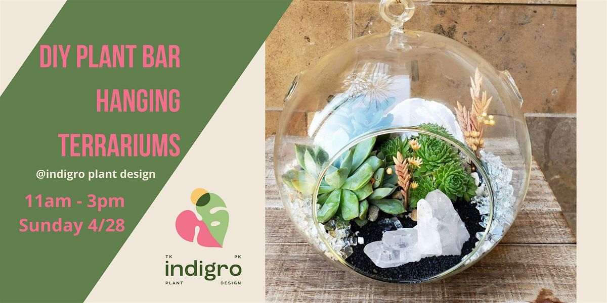 DIY Plant Bar - Hanging Terrariums, indigro plant design, Takoma Park ...