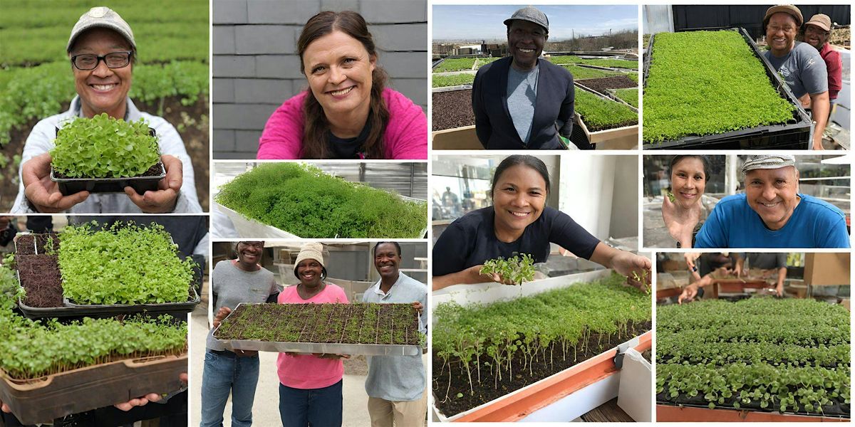 Kellogg Microgreens Class, Kellogg Public Library, 15 May 2024 | AllEvents