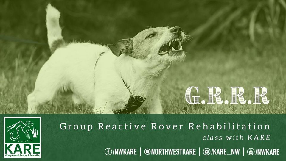 GRRR - Group Reactive Rover Rehabilitation - Level 2, Kitsap Animal ...