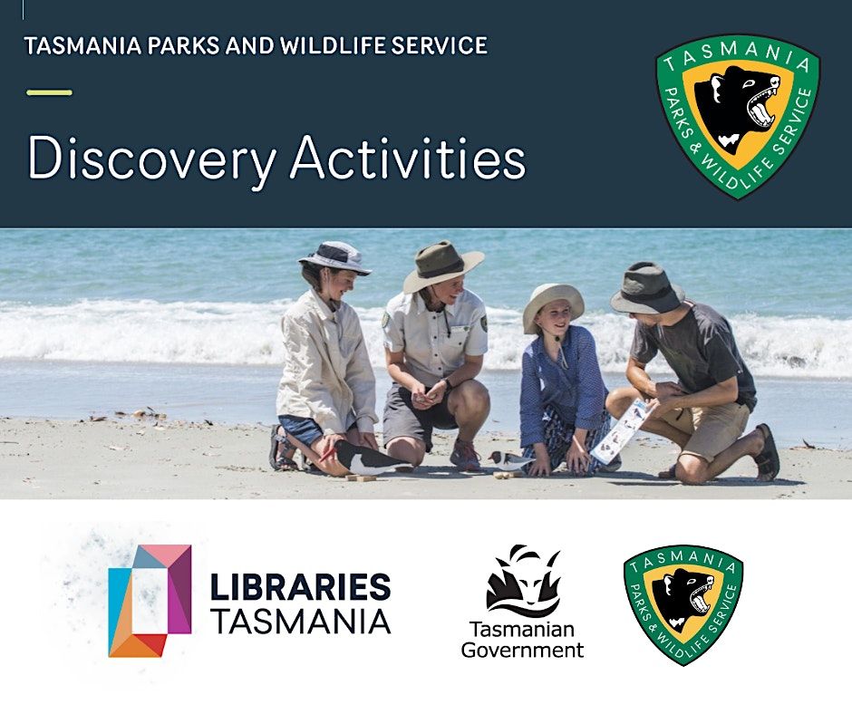 Summer Holiday Activity - Discovery Activities at St Helens Library, St ...
