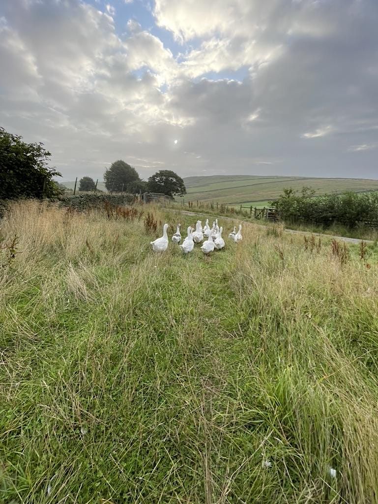 Well-being Retreats - a pilot day - June 24th 2023, Harwes Farm CIC ...