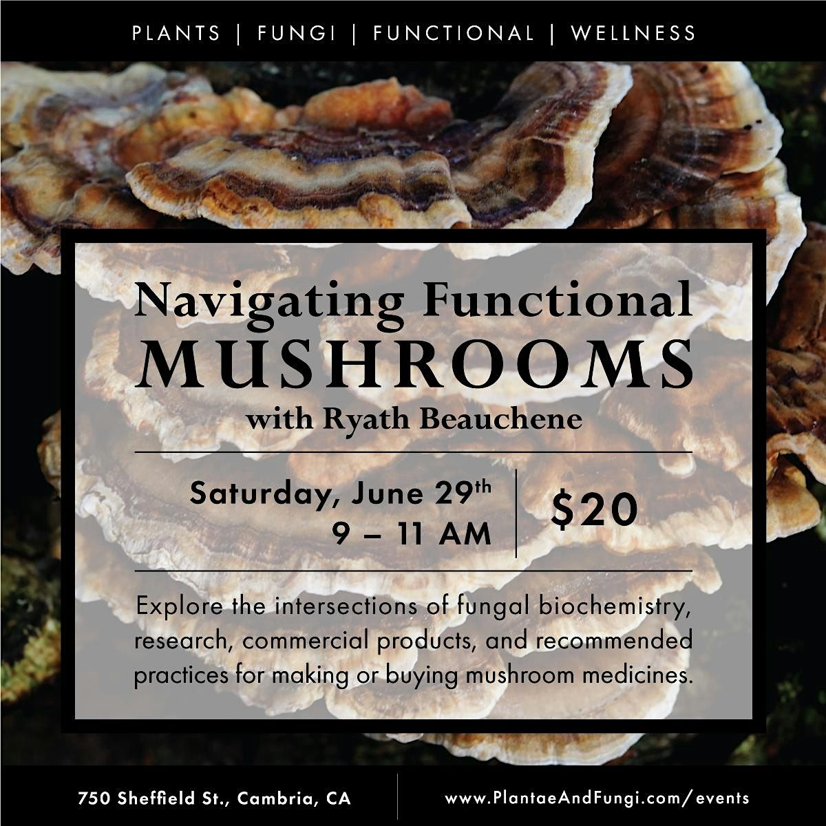 Navigating Functional Mushrooms with Ryath Beauchene, Plantae & Fungi ...
