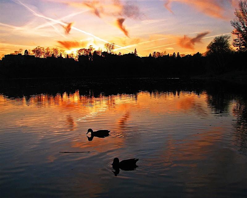 "SOLD OUT" High Park Sunset Hike, High Park Nature Centre, Toronto, 24 ...