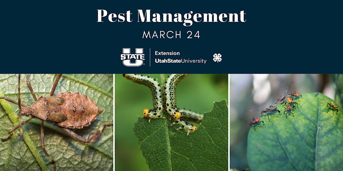 Vegetable Pest Management, Utah State University Extension - Washington ...