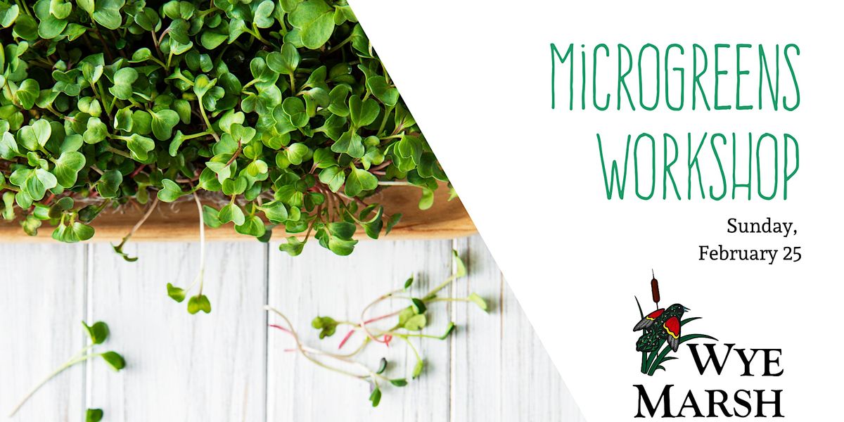Microgreens Workshop, Wye Marsh Wildlife Centre, Midland, 25 February ...