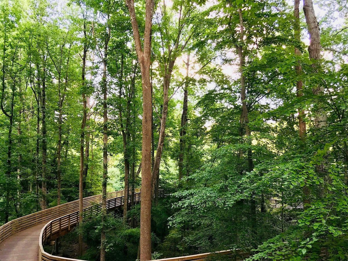 ID the Trees, Mason Mill Park - South Peachtree Creek PATH Trailhead ...