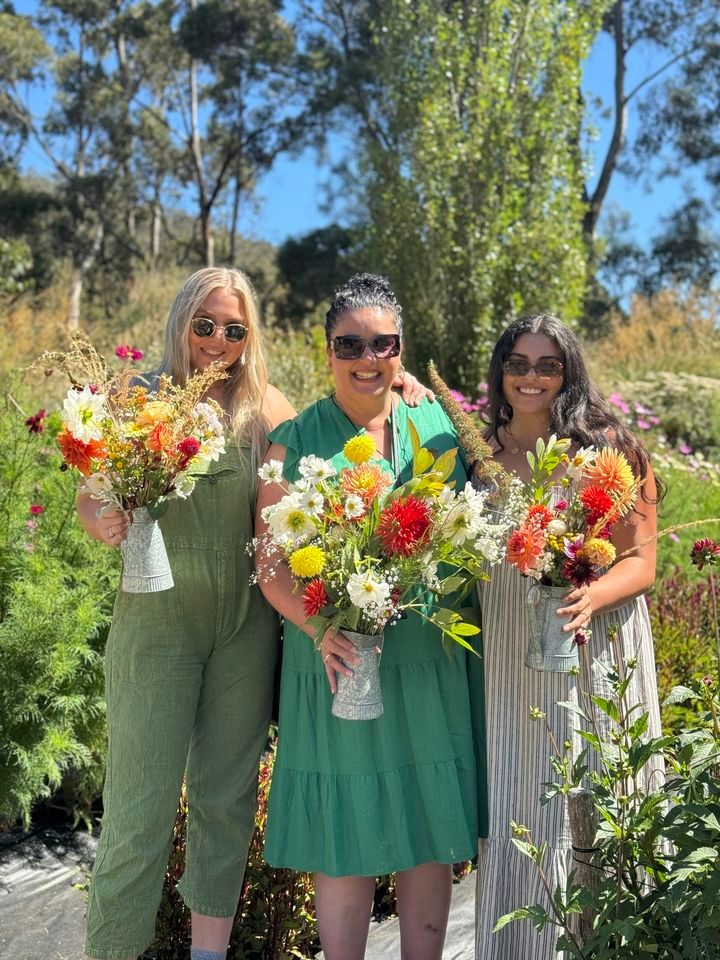 Twilight Pick Your Own Flowers, Earthenry Flower Farm, 3 Waldie Drive ...