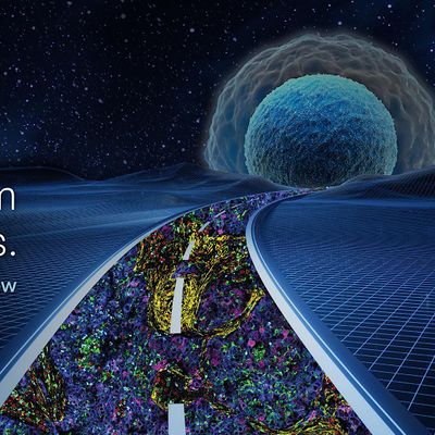 Introduction to the Hyperion XTi and Imaging Mass Cytometry Updates ...