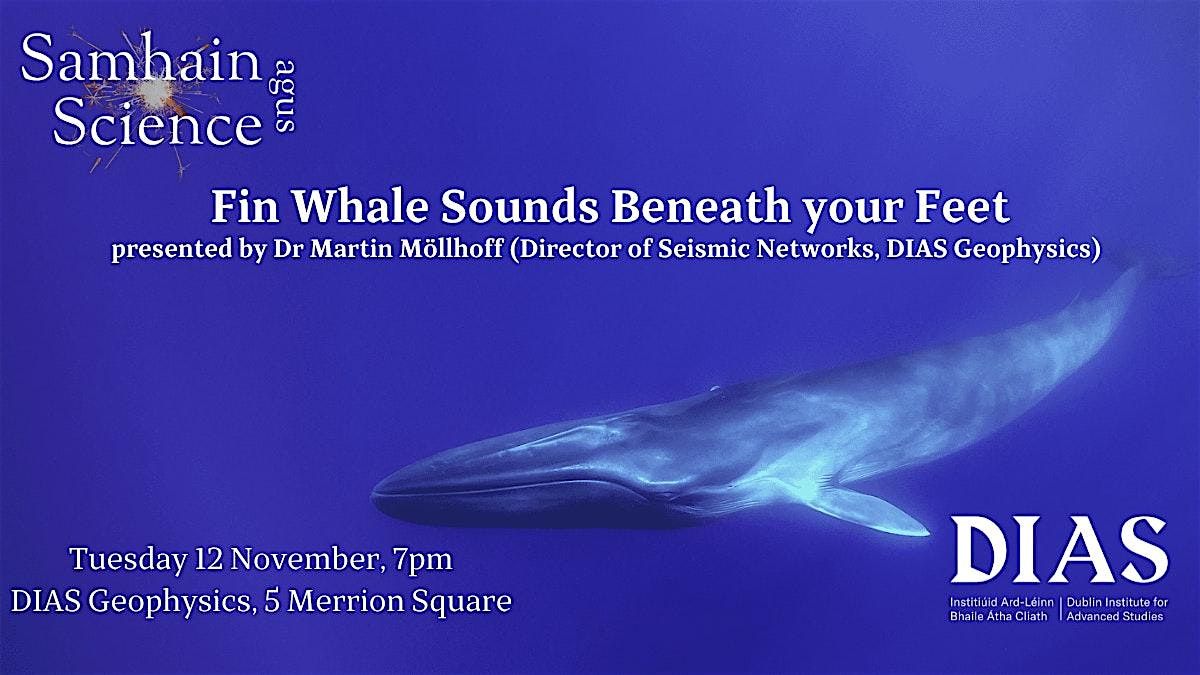 Fin Whale Sounds Beneath your Feet!, Dublin Institute for Advanced ...