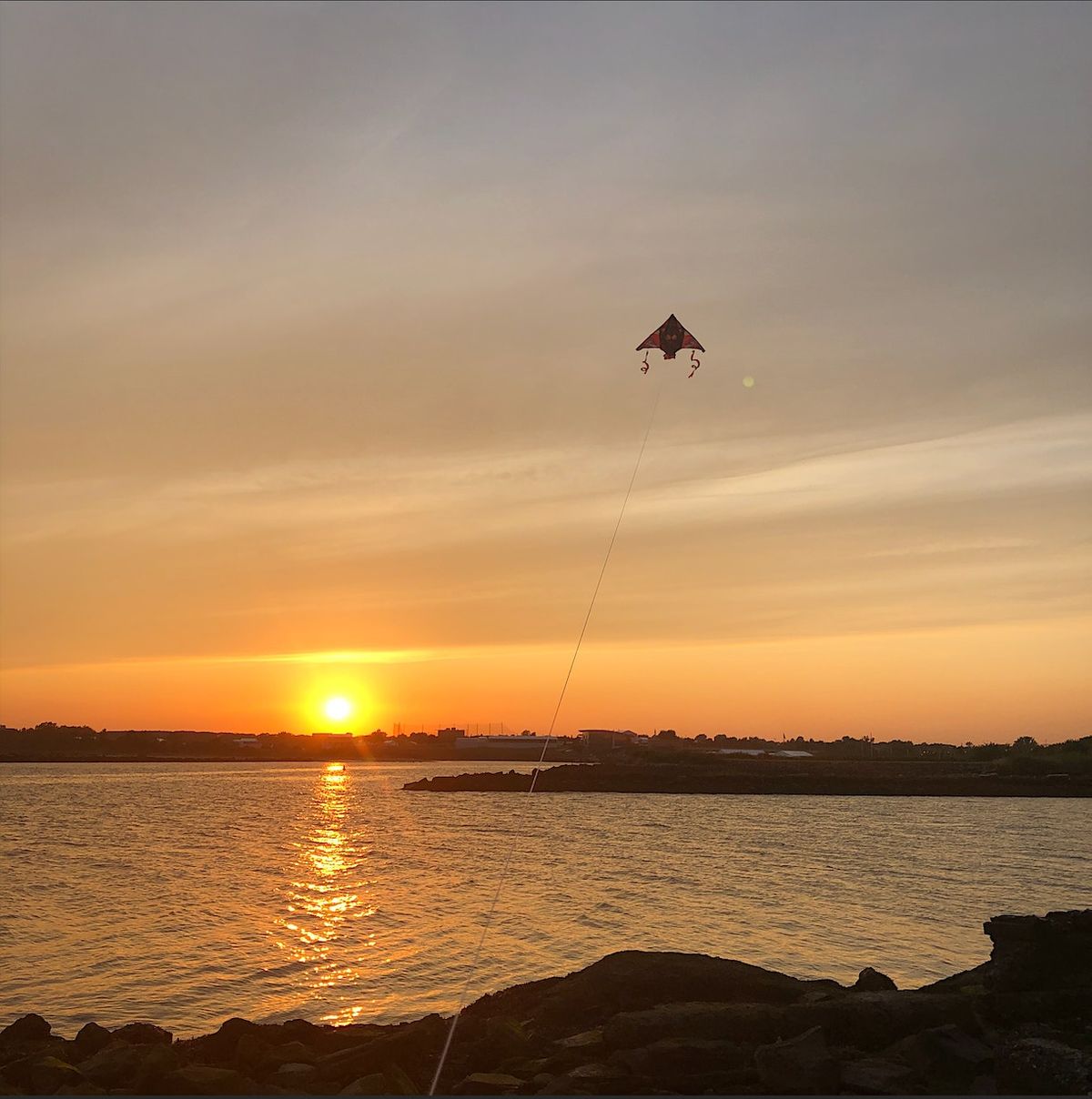 Lets Fly a Kite, 14 May 2023 | AllEvents.in