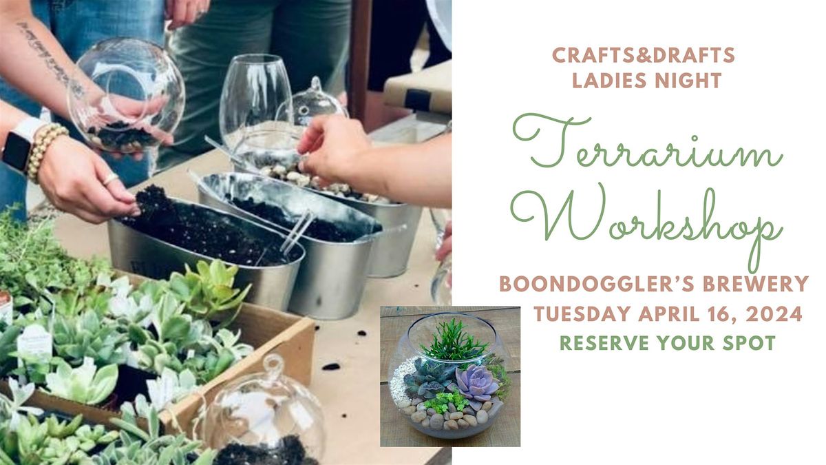 Build Your Own Terrarium Workshop, Boondoggler’s Brewing Company ...