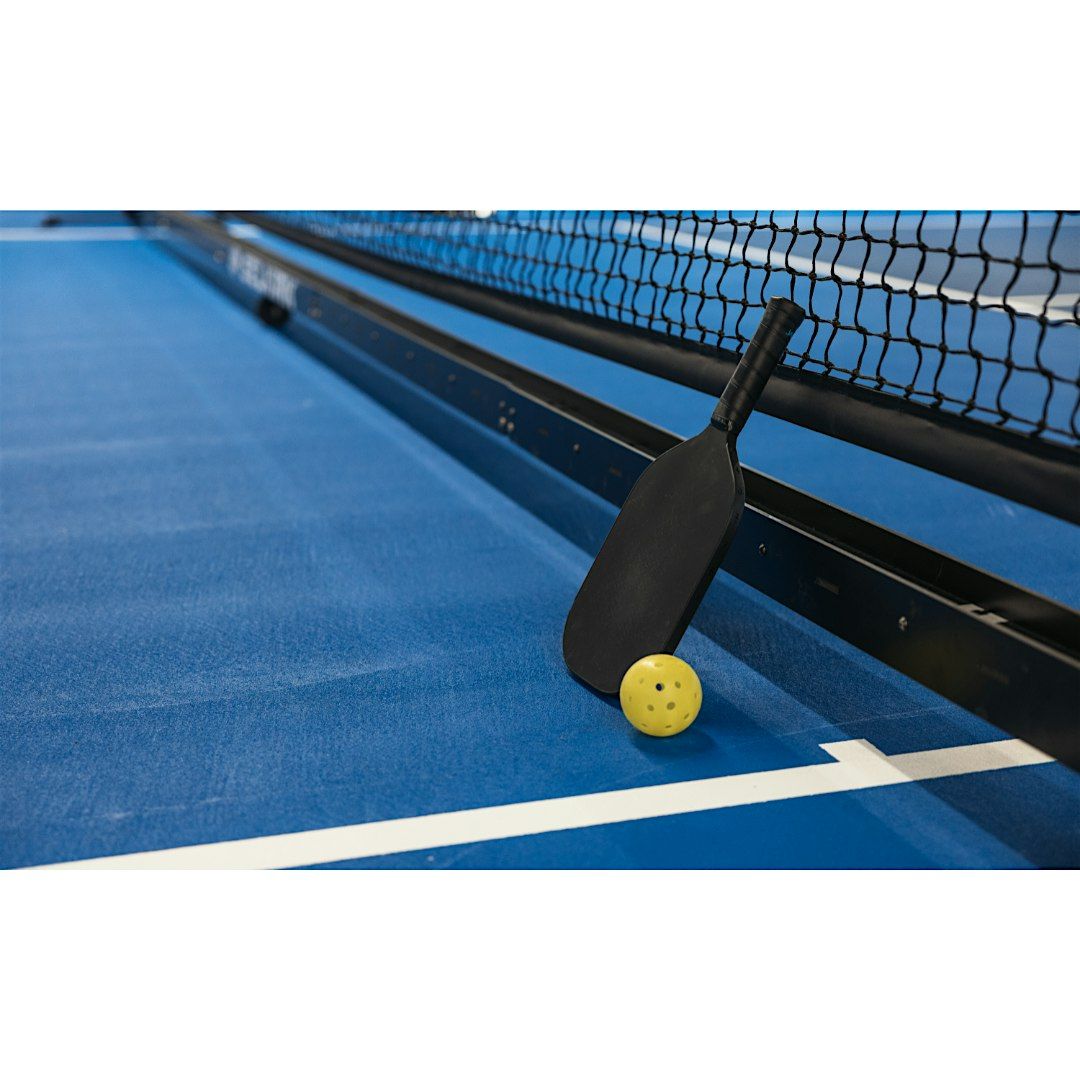 Lothamer Group presents Charity Pickleball Event, SPF Chicago, 21 May ...