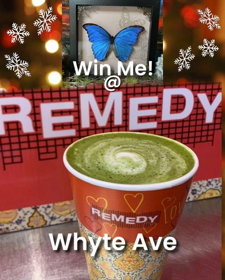 Featured Artist Grand Opening, Remedy Cafe on Whyte, Edmonton, 27 ...