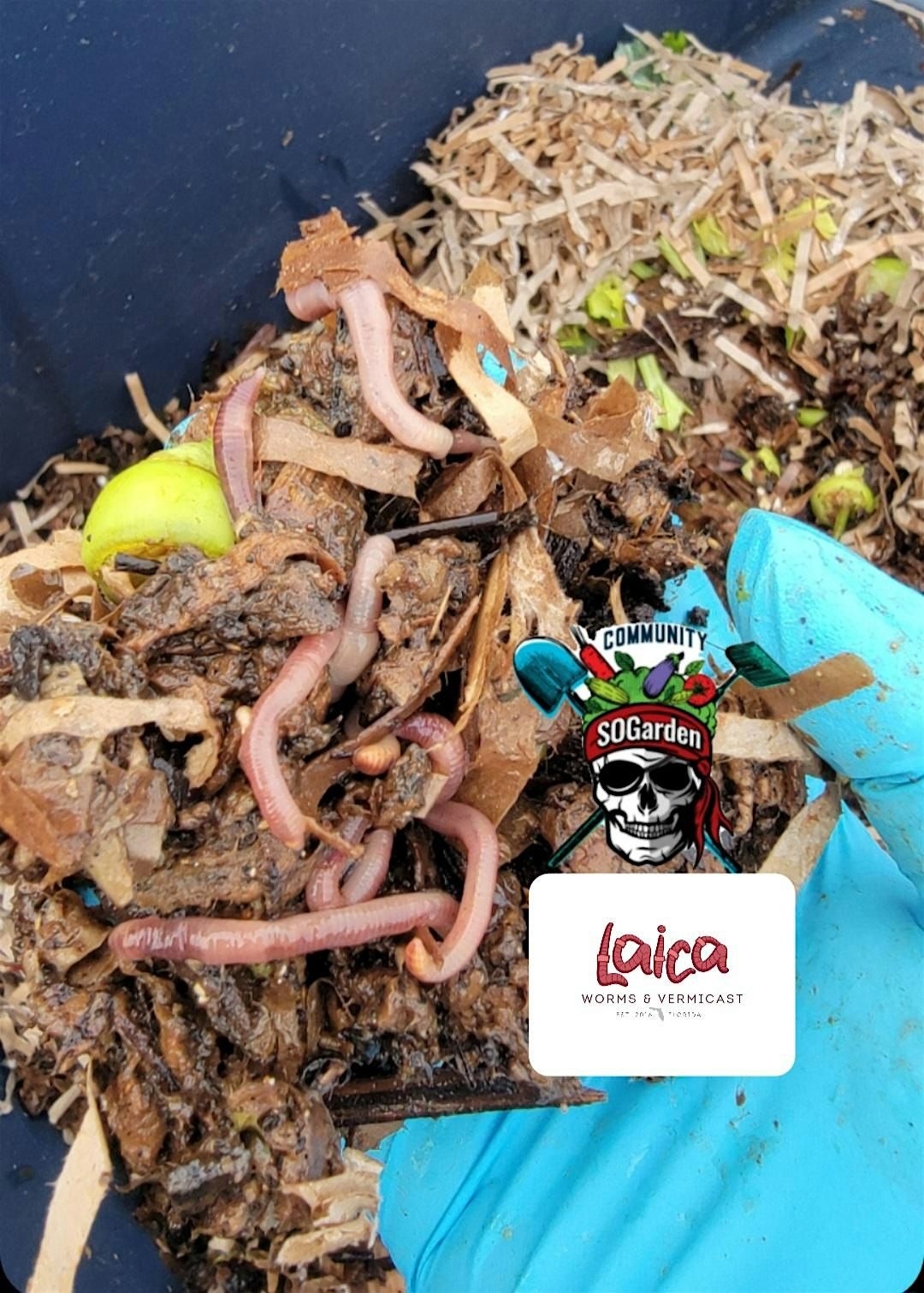 Worm Farming Class, 4207 W Oklahoma Ave, Tampa, 16 April 2024 | AllEvents